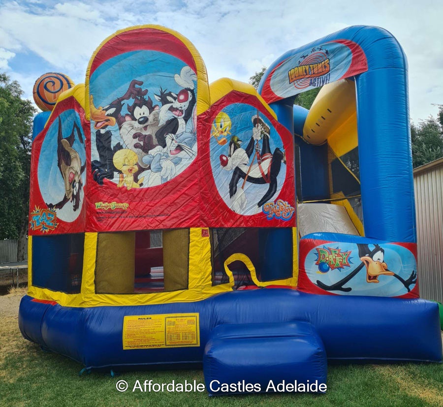 5in1 6 x 6 Meter Castles With Slide and Obstacles - Jumping Castle Hire ...